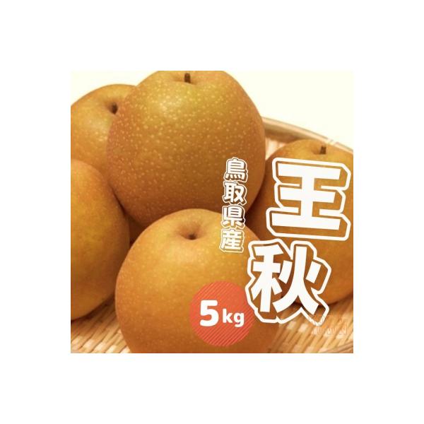 ■お礼品詳細　・内容量：5キロ　・賞味期限：常温7日前後　・配送方法：通常便■お申し込み・配送・その他　・発送時期：【10月中旬〜10月下旬頃発送】　・申込受付期間：10月5日まで　・配達外のエリア：離島、沖縄県　・寄付証明書の送付時期目安...