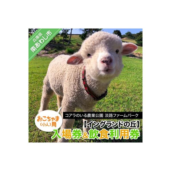 ■お礼品詳細■お申し込み・配送・その他　・発送時期：令和3年11月1日以降、順次発送します。　・申込受付期間：通年　・配達外のエリア：　・寄付証明書の送付時期目安：申込完了日から１ヵ月程度※１２月分は１週間程度　・提供元：南あわじ市