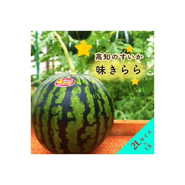 ■お礼品詳細　・事業者名：森澤浩彦■お申し込み・配送・その他　・発送時期：5月初旬から順次発送予定　・申込受付期間：2026年5月初旬まで　・配達外のエリア：　・寄付証明書の送付時期目安：申込完了日から２ヵ月程度　・提供元：いの町