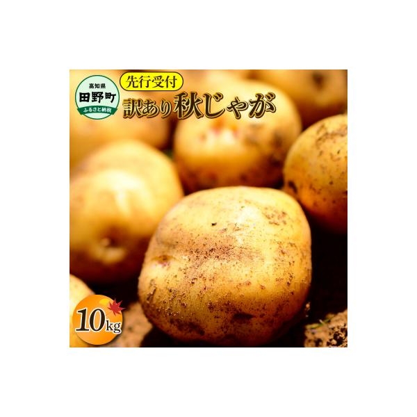 ■お礼品詳細　・配送方法：常温　・内容量：訳あり秋じゃがいも　10kg　・消費期限：出荷日＋2週間程度■お申し込み・配送・その他　・発送時期：ご入金確認後、令和7年11月中旬より順次発送予定※生育状況により発送が前後する場合があります。※配...