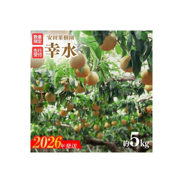 ■お礼品詳細　・事業者：安田果樹園　・内容量：約5kg(10〜14玉)　・賞味期限：発送日+5日程度※生もの(果物)ですので、できるだけお早めにお召し上がり下さい。　・配送方法：通常便■お申し込み・配送・その他　・発送時期：2026年8月下...
