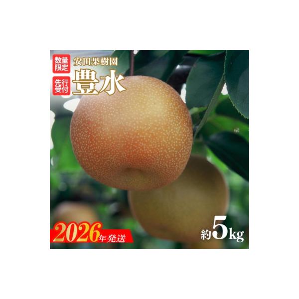 ■お礼品詳細　・事業者：安田果樹園　・内容量：約5kg(12〜13玉)大玉3L以上　・賞味期限：発送日+5日程度※生もの(果物)ですので、できるだけお早めにお召し上がり下さい。　・配送方法：通常便■お申し込み・配送・その他　・発送時期：20...