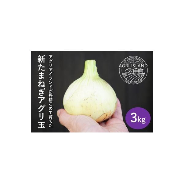 ■お礼品詳細■お申し込み・配送・その他　・発送時期：3月下旬〜5月下旬の間で、順次発送します。※天候等の関係で、発送時期が前後する場合がございます。※お申込みの集中により、到着までお時間をいただく場合がございます。※生鮮品のため、到着後は箱...