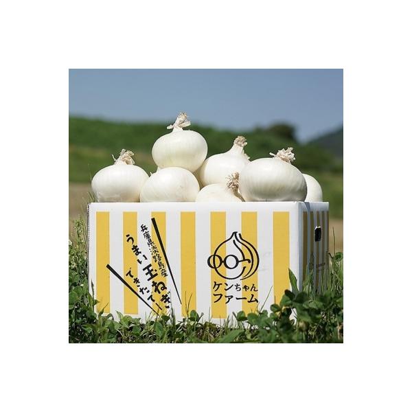 ■お礼品詳細■お申し込み・配送・その他　・発送時期：※5月中旬〜6月下旬にかけてお申込み順に発送します。※収穫状況により発送時期が前後する可能性があります。※※長期不在、転居等でお受け取りいただけない場合、再送はいたしかねます。ご了承くださ...