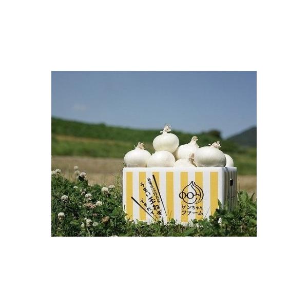 ■お礼品詳細■お申し込み・配送・その他　・発送時期：※5月中旬〜6月下旬にかけてお申込み順に発送します。※収穫状況により発送時期が前後する可能性があります。※※長期不在、転居等でお受け取りいただけない場合、再送はいたしかねます。ご了承くださ...