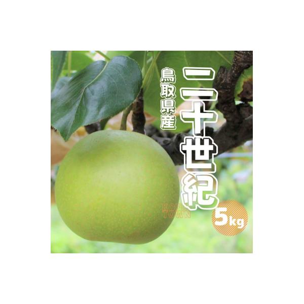 ■お礼品詳細　・内容量：秀 約5キロ　L〜5Lサイズ(10〜20玉前後)　・賞味期限：常温7日前後　・配送方法：通常便■お申し込み・配送・その他　・発送時期：8月下旬〜9月下旬予定（お届け時間帯指定可）　・申込受付期間：7月末まで※予定数に...