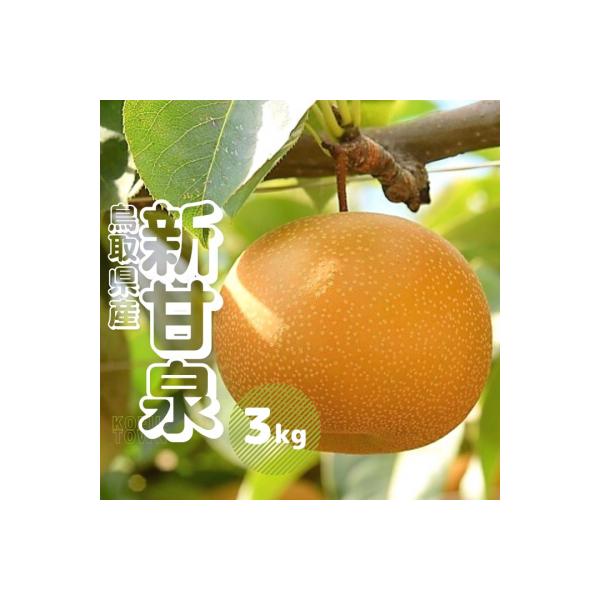 ■お礼品詳細　・内容量：新甘泉 約3キロ(5〜12玉前後)　・賞味期限：常温7日前後　・配送方法：通常便■お申し込み・配送・その他　・発送時期：8月下旬〜9月中旬予定（お届け時間帯指定可）　・申込受付期間：7月末まで※予定数に達し次第受付終...