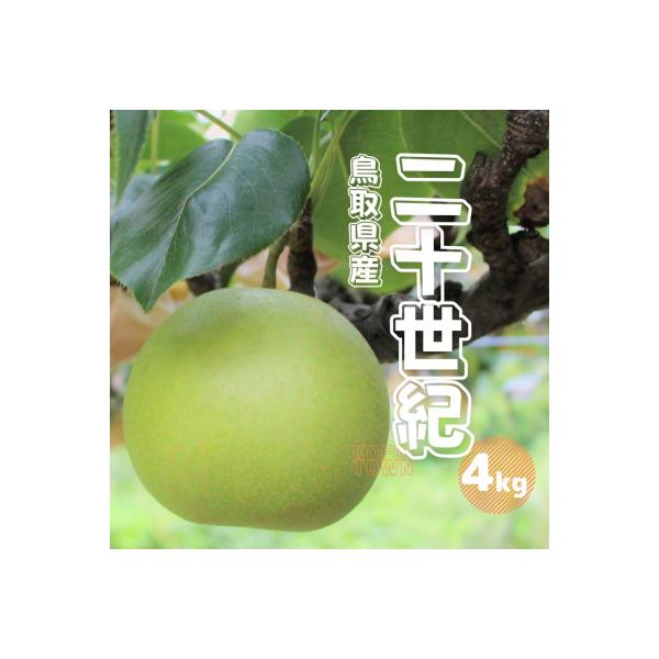 ■お礼品詳細　・内容量：4キロ　秀　L〜5Lサイズ(9〜18玉前後)　・賞味期限：常温7日前後　・配送方法：通常便■お申し込み・配送・その他　・発送時期：8月下旬〜9月下旬予定（お届け時間帯指定可）　・申込受付期間：7月末まで※予定数に達し...