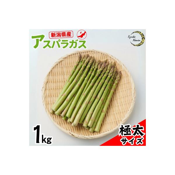 ■お礼品詳細　・事業者：飯塚農園　・地場産品基準：1 三条市内で生産されているため。■お申し込み・配送・その他　・発送時期：2026年5月上旬頃から順次発送予定※生産の関係上、お届け期間が前後する場合がございます。予め、ご了承ください。（お...