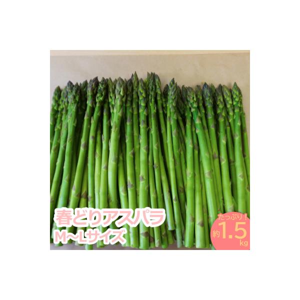 ■お礼品詳細　・容量：M〜Lサイズ・約1.5kg　・賞味期限：発送日から5日程度　・アレルギー：特定原材料等28品目は使用しておりません　・配送：冷蔵　・協力事業者：長井中央青果■お申し込み・配送・その他　・発送時期：2026年04月下旬頃...