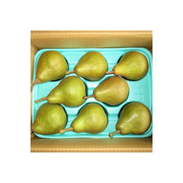 ■お礼品詳細　・配送方法：通常便　・事業者：神来社農園■お申し込み・配送・その他　・発送時期：2026年8月下旬※ご不在日が多く配達が困難な場合、お礼品や配送先の変更をお願いする場合がございます。 　・申込受付期間：2026年8月16日迄　...