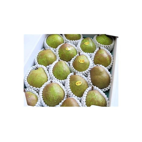 ■お礼品詳細　・配送方法：通常便　・事業者：有限会社　上山観光フルーツ園■お申し込み・配送・その他　・発送時期：2025年10月中旬〜2026年1月下旬迄 　・申込受付期間：2026年1月12日迄　・配達外のエリア：離島、沖縄県　・寄付証明...