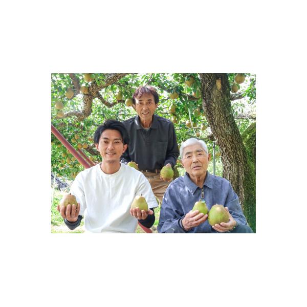 ■お礼品詳細　・配送方法：通常便　・事業者：有限会社　マルホ観光果樹園■お申し込み・配送・その他　・発送時期：2025年11月上旬〜2026年1月上旬迄 　・申込受付期間：2026年1月4日迄　・配達外のエリア：離島、沖縄県　・寄付証明書の...