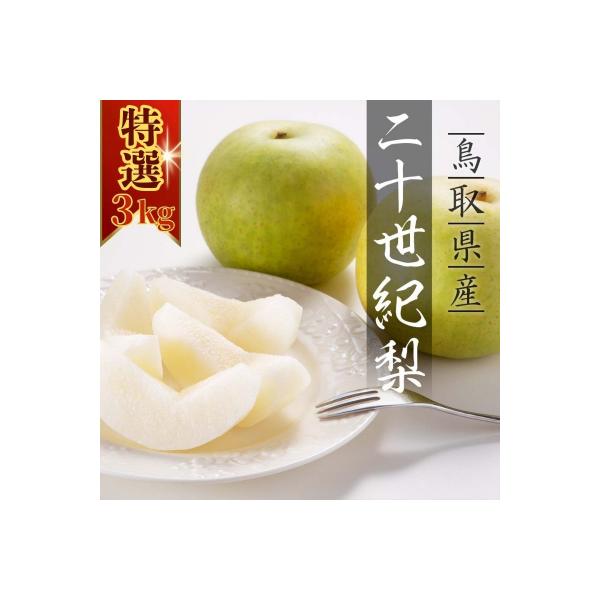 ■お礼品詳細　・内容量：二十世紀梨　特選　3L〜5L　3kg(4〜10玉前後)　・賞味期限：出荷日から常温4日以内、冷蔵1週間以内(到着後お早めに召し上がりください)　・配送方法：通常　・事業者名：高間商店株式会社■お申し込み・配送・その他...