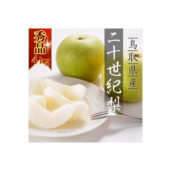 ■お礼品詳細　・内容量：二十世紀梨〔等級〕秀〔サイズ〕 L〜5L〔容量〕6〜13玉前後 4kg　・賞味期限：出荷日から常温4日、冷蔵7日以内(到着後お早めに召し上がりください)　・配送方法：通常　・事業者名：高間商店株式会社■お申し込み・配...