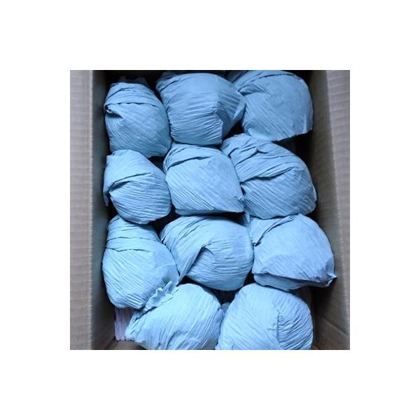 ■お礼品詳細　・配送方法：通常便　・事業者：狼石果樹園■お申し込み・配送・その他　・発送時期：2025年11月上旬〜2026年1月下旬迄　・申込受付期間：2026年1月18日迄　・配達外のエリア：離島、沖縄県　・寄付証明書の送付時期目安：申...