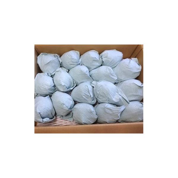 ■お礼品詳細　・配送方法：通常便　・事業者：狼石果樹園■お申し込み・配送・その他　・発送時期：2025年11月上旬〜2026年1月下旬迄　・申込受付期間：2026年1月18日迄　・配達外のエリア：離島、沖縄県　・寄付証明書の送付時期目安：申...