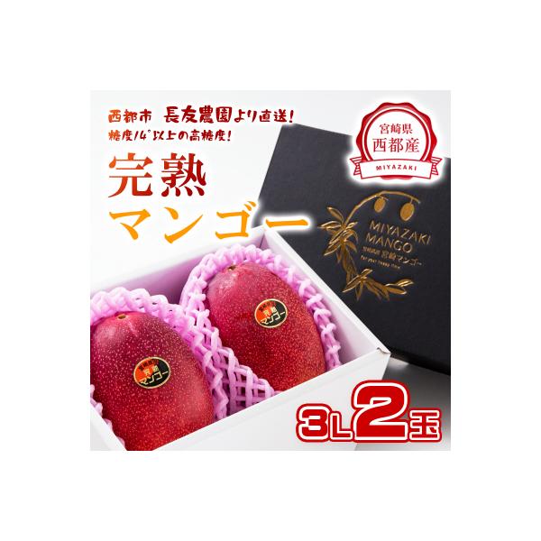 ■お礼品詳細　・内容量：3Lサイズ2玉　合計900g以上(化粧箱入り)　・消費期限：発送から1週間程度(冷蔵庫に保管の上お早目にお召し上がりください)　・発送方法：冷蔵便　・提供事業者：長友農園■お申し込み・配送・その他　・発送時期：令和8...