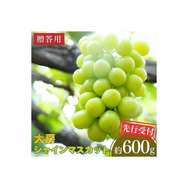 ■お礼品詳細　・事業者：小林農園　・地場産品基準：1 三条市内で生産されているため。■お申し込み・配送・その他　・発送時期：9月上旬~10月中旬頃※天候や生育状況により、発送開始・終了時期が前後する場合がございます。※お申込み順に発送いたし...