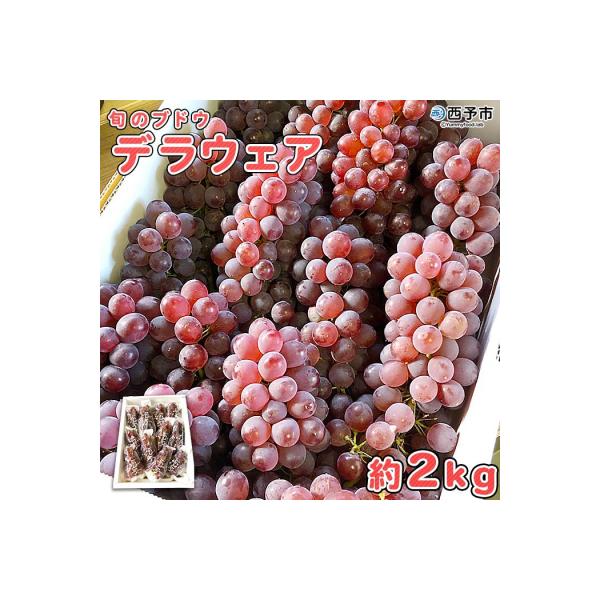 ■お礼品詳細　・容量：デラウェア 約2kg　・消費期限：出荷後1週間以内（冷蔵保存にてお早めにお召し上がりください）　・配送方法：冷蔵　・提供事業者：株式会社りの果樹園■お申し込み・配送・その他　・発送時期：2026年7月中旬〜8月中旬まで...