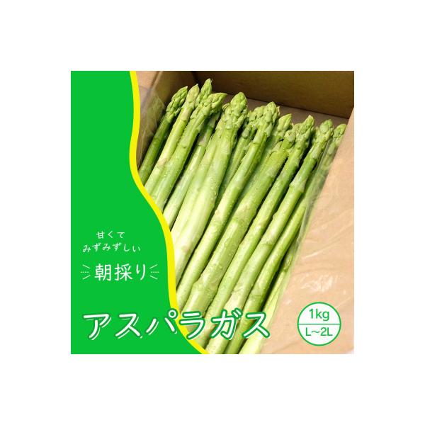 ■お礼品詳細　・容量：アスパラガス　1kg（L、2Lサイズ混）　・賞味期限：配送日+3日　・配送方法：冷蔵　・提供事業者：永利農園株式会社■お申し込み・配送・その他　・発送時期：2026年4月1日(〜2026年10月31日)・配送日時指定は...