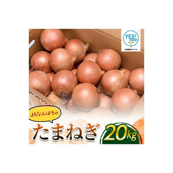 ■お礼品詳細　・内容量：玉ねぎ 20kg　・産地：北海道南幌町　・産年：令和7年産　・配送方法：通常便　・提供：ＪＡなんぽろ玉ねぎ部会　・賞味期限：発送後60日程度　・保存方法：10℃以下の風通しの良い冷暗所保存推奨■お申し込み・配送・その...