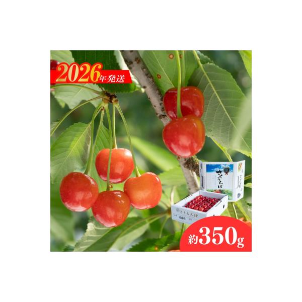 ■お礼品詳細　・事業者：ヤマ孝 紺野果樹園　・内容量：350g　・賞味期限：発送日+3日程度　・配送方法：冷蔵便■お申し込み・配送・その他　・発送時期：2026年6月中旬から2026年6月下旬発送予定（お届け時間帯指定可）　・申込受付期間：...