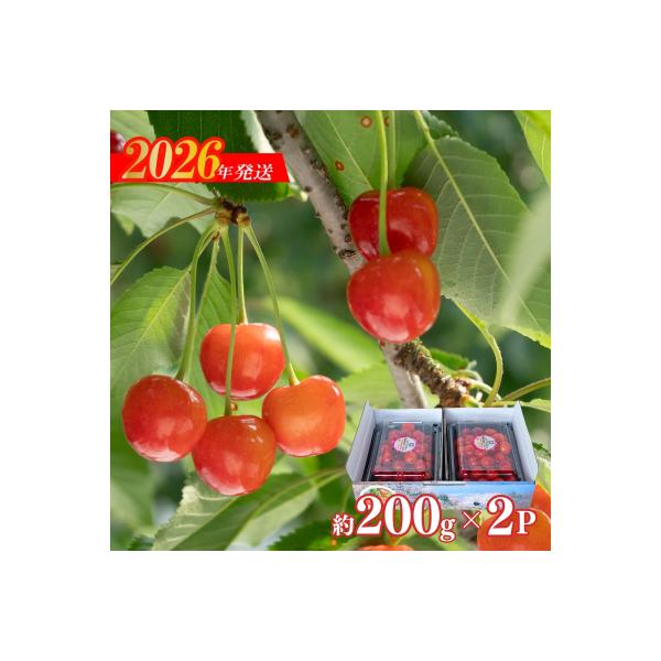■お礼品詳細　・事業者：ヤマ孝 紺野果樹園　・内容量：200g×2パック　・賞味期限：発送日+3日程度　・配送方法：冷蔵便■お申し込み・配送・その他　・発送時期：2026年6月中旬から2026年6月下旬発送予定（お届け時間帯指定可）　・申込...