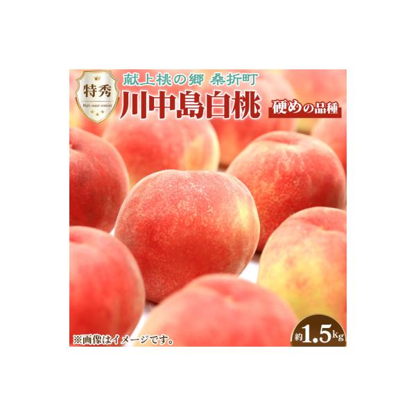 ■お礼品詳細　・容量：約1.5kg相当×1箱（5〜9玉）　・賞味期限：発送日から1週間程度　・保管方法：商品到着後は冷蔵庫や風通しの良い涼しいところで保存し、出来るかぎり早めにお召し上がりください。　・配送方法：常温　・提供元：ふくしま未来...