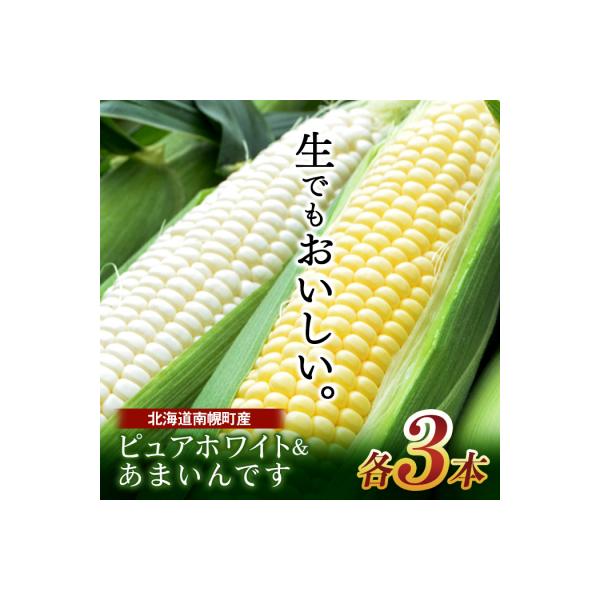 ■お礼品詳細　・内容量：ピュアホワイト3本/あまいんです3本 合計6本　・賞味期限：発送日から5日程度 ※生ものですので、お早めにお召し上がり下さい。　・保存方法：要冷蔵　・生産：明るい農村ネットワーク　・配送種別：冷蔵便■お申し込み・配送...