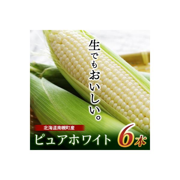 ■お礼品詳細　・内容量：ピュアホワイト：6本　・賞味期限：発送日から5日程度 ※生ものですので、お早めにお召し上がり下さい。　・保存方法：要冷蔵　・生産：明るい農村ネットワーク　・配送種別：冷蔵便■お申し込み・配送・その他　・発送時期：20...