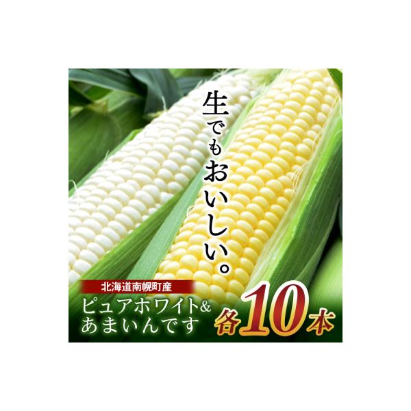 ■お礼品詳細　・内容量：ピュアホワイト：10本 / あまいんです：10本　・賞味期限：発送日から5日程度 ※生ものですので、お早めにお召し上がり下さい。　・保存方法：要冷蔵　・生産：明るい農村ネットワーク　・配送種別：冷蔵便■お申し込み・配...