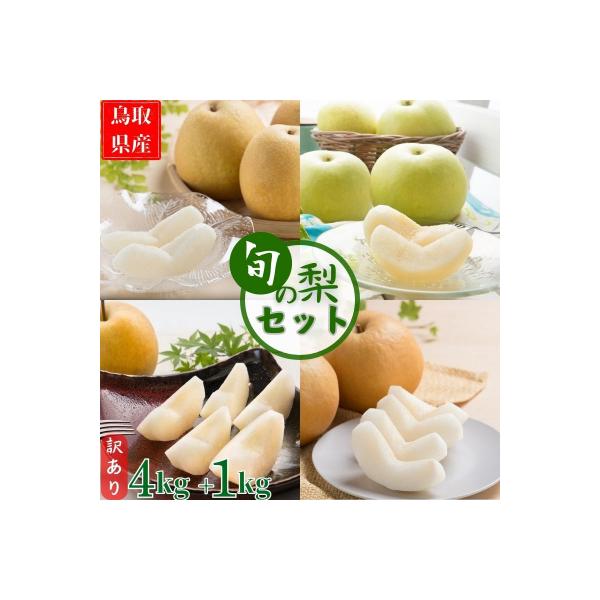 ■お礼品詳細　・内容量：鳥取県産梨　4〜16玉前後　4kg+1kg<期間限定>　・賞味期限：出荷日から常温4日、冷蔵7日以内(到着後お早めに召し上がりください)　・配送方法：通常　・事業者名：高間商店株式会社■お申し込み・配送・...