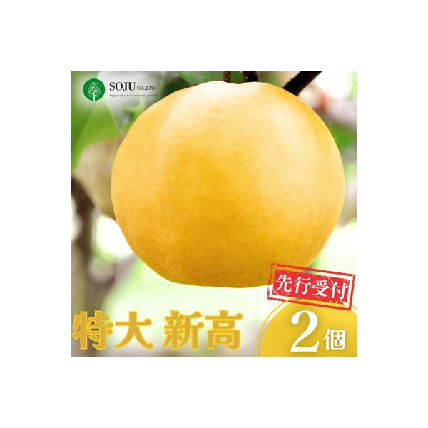 ■お礼品詳細　・事業者：株式会社想樹　・地場産品基準：1 三条市内で生産されているため。■お申し込み・配送・その他　・発送時期：10月中旬〜下旬頃※天候や生育状況により、発送開始・終了時期が前後する場合がございます。※お申込み順に発送いたし...