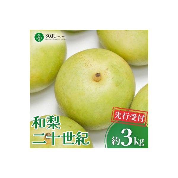 ■お礼品詳細　・事業者：株式会社想樹　・地場産品基準：1 三条市内で生産されているため。■お申し込み・配送・その他　・発送時期：9月下旬〜10月上旬頃※天候や生育状況により、発送開始・終了時期が前後する場合がございます。※お申込み順に発送い...