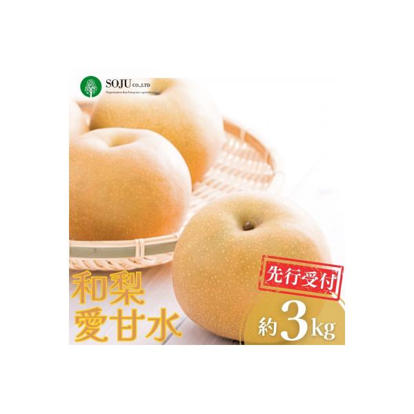 ■お礼品詳細　・事業者：株式会社想樹　・地場産品基準：1 三条市内で生産されているため。■お申し込み・配送・その他　・発送時期：8月中旬〜9月中旬頃※天候や生育状況により、発送開始・終了時期が前後する場合がございます。※お申込み順に発送いた...