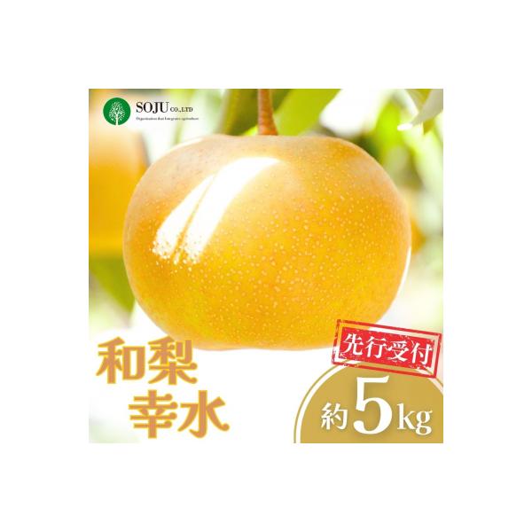 ■お礼品詳細　・事業者：株式会社想樹　・地場産品基準：1 三条市内で生産されているため。■お申し込み・配送・その他　・発送時期：8月中旬〜9月中旬頃※天候や生育状況により、発送開始・終了時期が前後する場合がございます。※お申込み順に発送いた...
