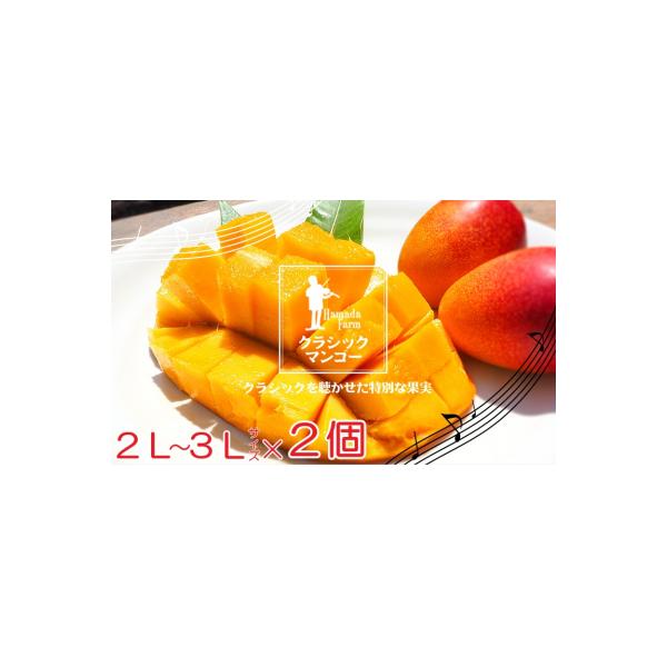 ■お礼品詳細　・内容量：400g〜500g × 2個　・賞味期限：出荷日から5日程度　・配送方法：冷蔵■お申し込み・配送・その他　・発送時期：2026年6月中旬頃から収穫でき次第順次発送いたします!※鹿児島県錦江町ではシステムの運用都合上、...