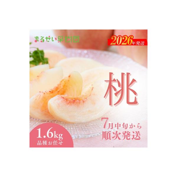 ■お礼品詳細　・事業者：有限会社まるせい果樹園　・内容量：約1.6kg　※品種・個数の指定は出来ません※個数は品種により変わりますので予めご了承下さいませ。　・賞味期限：発送日+3日程度　・配送方法：通常便　・アレルギー：もも■お申し込み・...