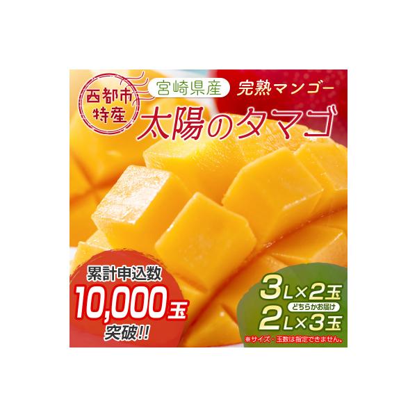 ■お礼品詳細　・内容量：太陽のタマゴ2Lサイズ3玉または3Lサイズ2玉（サイズの 指定はできません。）　・消費期限：発送から1週間程度(冷蔵庫に保存の上お早めにお召し上がりください)　・発送方法：冷蔵便■お申し込み・配送・その他　・発送時期...
