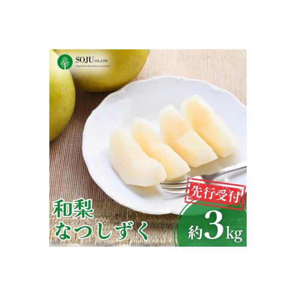 ■お礼品詳細　・事業者：株式会社想樹　・地場産品基準：1 三条市内で生産されているため。■お申し込み・配送・その他　・発送時期：8月中旬〜下旬頃※天候や生育状況により、発送開始・終了時期が前後する場合がございます。※お申込み順に発送いたしま...
