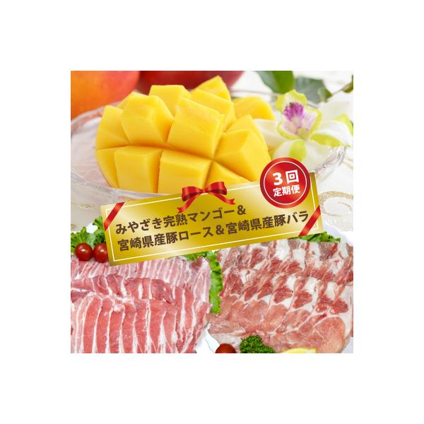 ■お礼品詳細　・消費期限：豚肉　90日　冷凍、マンゴー発送より1週間程度　冷蔵　・発送方法：冷凍便・冷蔵便　・提供事業者：エムファーム■お申し込み・配送・その他　・発送時期：令和8年5月〜7月の3ヶ月間(3回)発送します【ご注意】西都市は配...