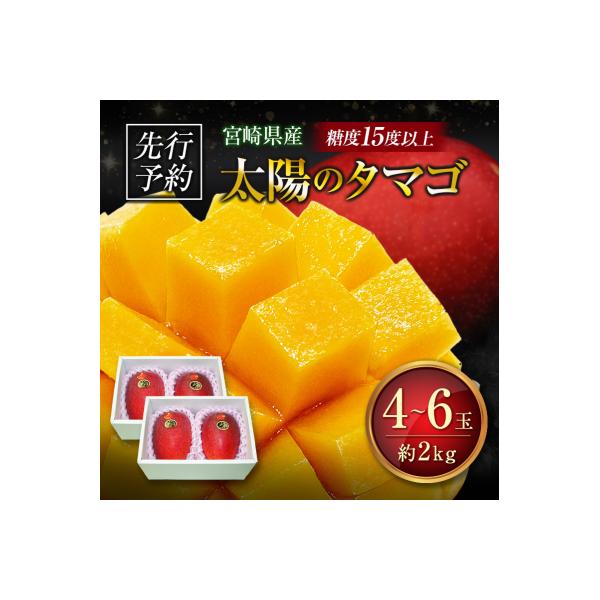 ■お礼品詳細　・配送方法：クール便（冷蔵）　・賞味期限：出荷日より７日　要冷蔵（青果物のため、お早めにお召し上がりください。）■お申し込み・配送・その他　・発送時期：入金確認後、2026年4月下旬〜7月下旬発送予定　・申込受付期間：2026...