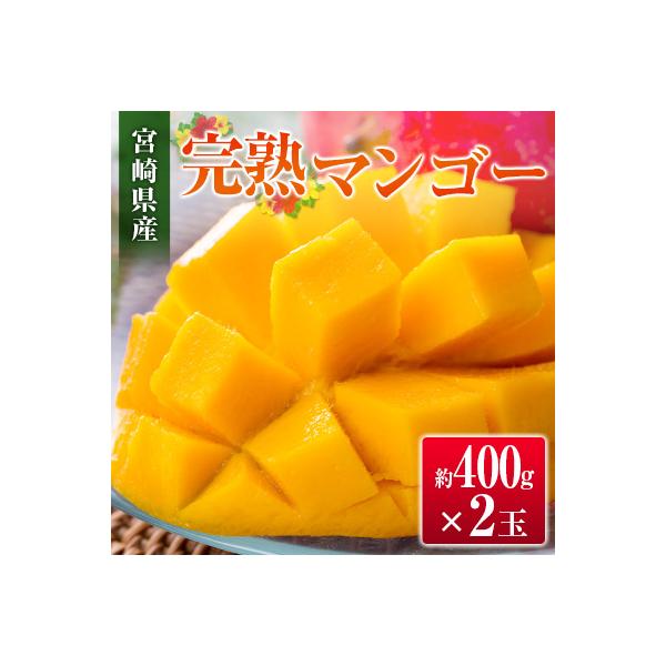 ■お礼品詳細　・配送方法：クール便（冷蔵）　・賞味期限：出荷日より７日　要冷蔵（青果物のため、お早めにお召し上がりください。）■お申し込み・配送・その他　・発送時期：入金確認後、2026年4月下旬〜8月上旬発送予定　・申込受付期間：2026...