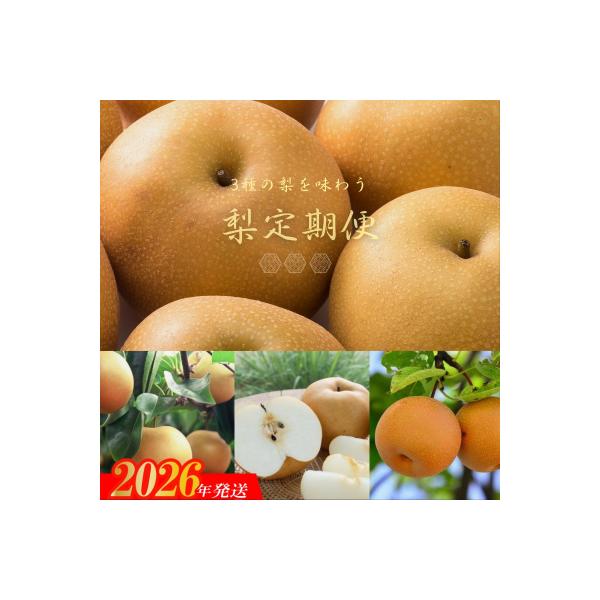 ■お礼品詳細　・事業者：株式会社円和 青果部　・内容量：商品詳細へ記載　・賞味期限：発送日+5日　・配送方法：常温便■お申し込み・配送・その他　・発送時期：商品詳細へ記載（お届け時間帯指定可）　・申込受付期間：2026年8月8日まで　・配達...