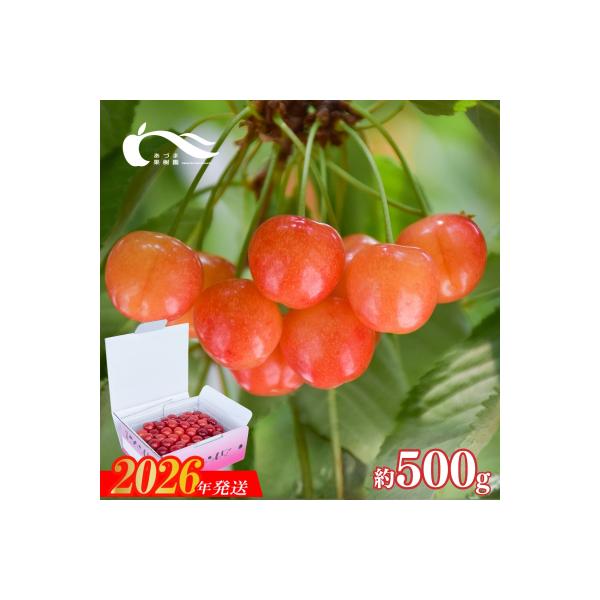 ■お礼品詳細　・事業者：有限会社あづま果樹園　・内容量：約500g　・賞味期限：発送日+2日程度※生ものですので期間に関わらずお早目にお召し上がりください。　・配送方法：冷蔵便■お申し込み・配送・その他　・発送時期：2026年6月上旬から2...