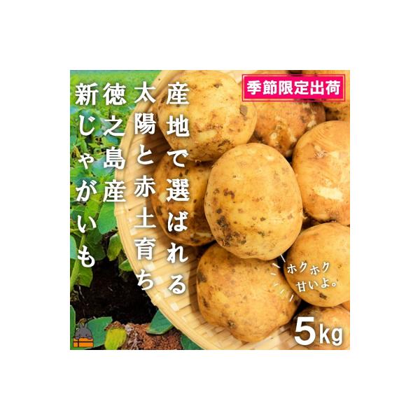 ■お礼品詳細　・配送方法：通常配送■お申し込み・配送・その他　・発送時期：2026年2月〜4月中旬頃配送致します。 ※常温配送　・申込受付期間：随時申込 (収穫時期前〜収獲終了(※4月頃))　・配達外のエリア：　・寄付証明書の送付時期目安：...