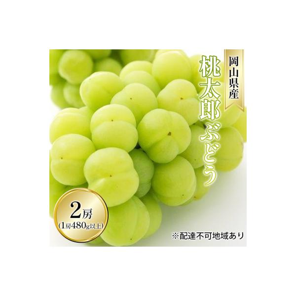 ■お礼品詳細　・内容量：桃太郎 ぶどう 2房（1房 480g以上 露地栽培）贈答用　岡山県産　・賞味期限：出荷日より冷蔵3〜4日　・配送方法：冷蔵配送　・事業者：株式会社　M・P・C　・備考：お届け日、時間の指定は申し訳ないですが、お受けで...