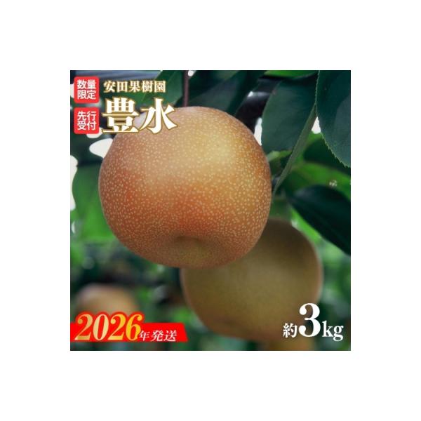 ■お礼品詳細　・事業者：安田果樹園　・内容量：約3kg(6〜8玉)　・賞味期限：発送日+5日程度※生もの(果物)ですので、できるだけお早めにお召し上がり下さい。　・配送方法：通常便■お申し込み・配送・その他　・発送時期：2026年9月上旬か...