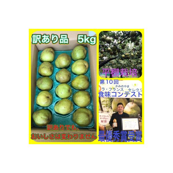 ■お礼品詳細　・配送方法：通常便　・事業者： 黒田農園■お申し込み・配送・その他　・発送時期：2025年10月下旬〜2026年1月上旬迄 　・申込受付期間：2025年12月31日迄　・配達外のエリア：離島、沖縄県　・寄付証明書の送付時期目安...